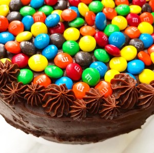 M&Ms Surprise Cake | e2 bakes brooklyn
