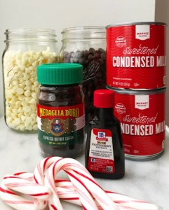 Easy Peppermint Mocha Fudge | e2 bakes brooklyn
