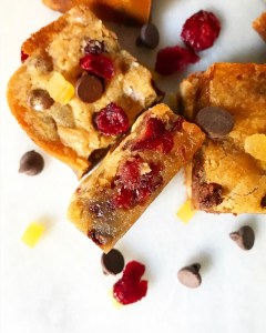 Chocolate Cranberry Ginger Blondies | e2 bakes brooklyn